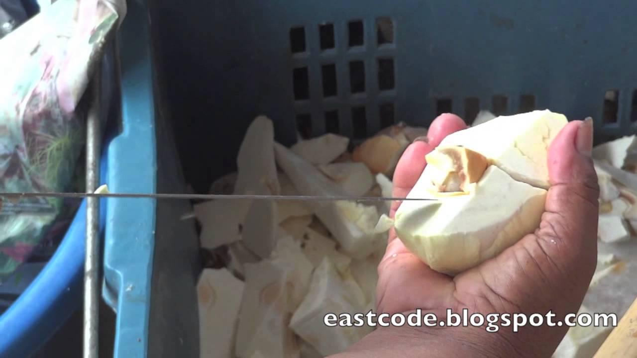 Crispy Deep fried young Durian How to Eastern Thailand - YouTube