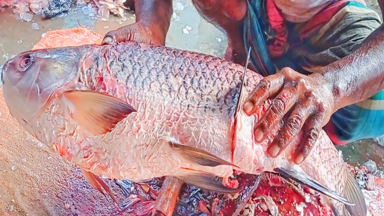 10 kg big Ruhi fish cutting video | Ruhi fish new style cutting video ...
