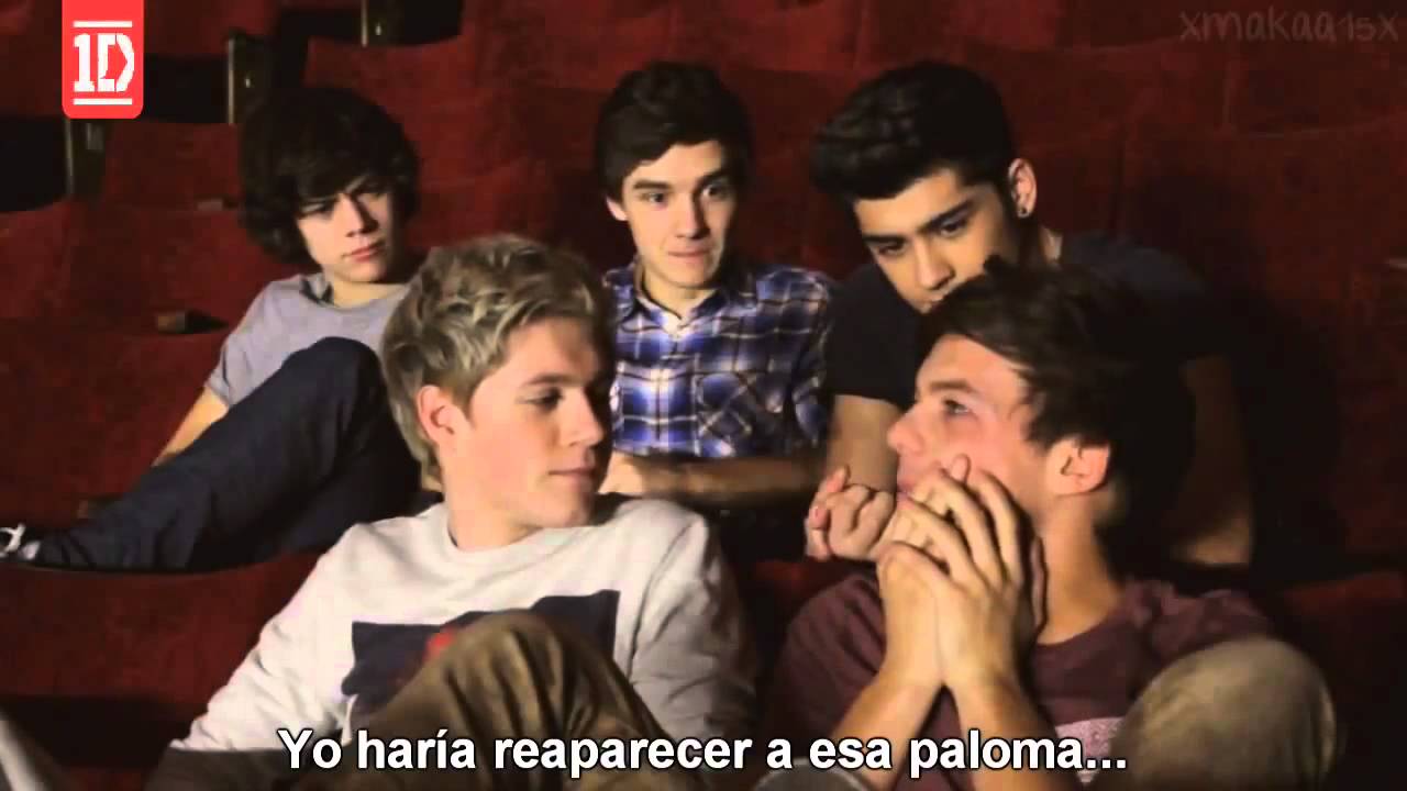 One Direction - Video Tour Diary 4 (subtitulado al español) - YouTube