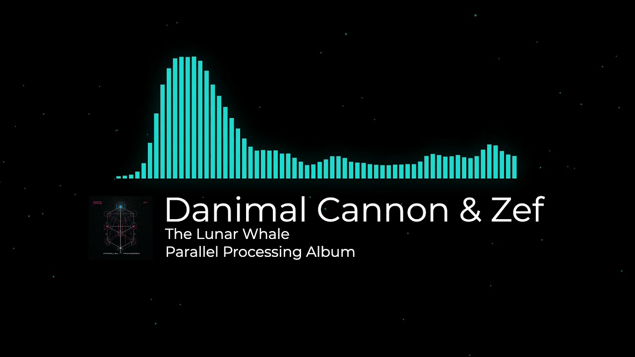 Danimal Cannon & Zef The Lunar Whale - Parallel Processing Album - YouTube