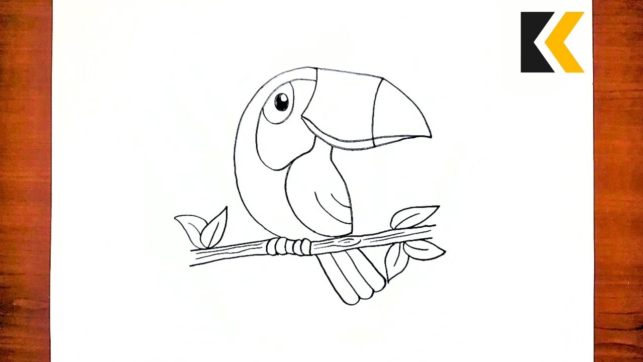 How To Draw Toco Toucan Bird | Draw Animals Easily - YouTube