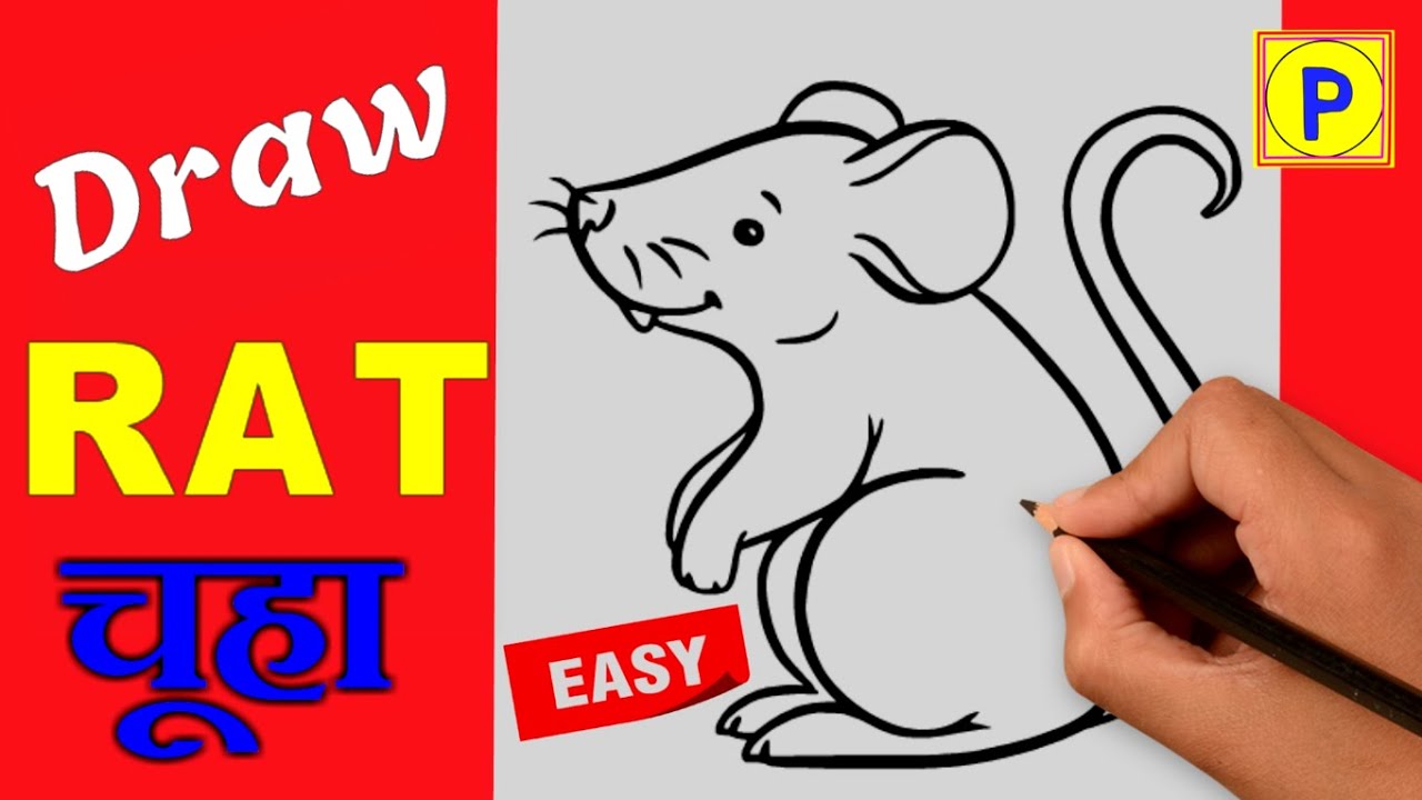 How to DRAW a Rat | how to draw rat for kids | Rat Drawing for Kids ...