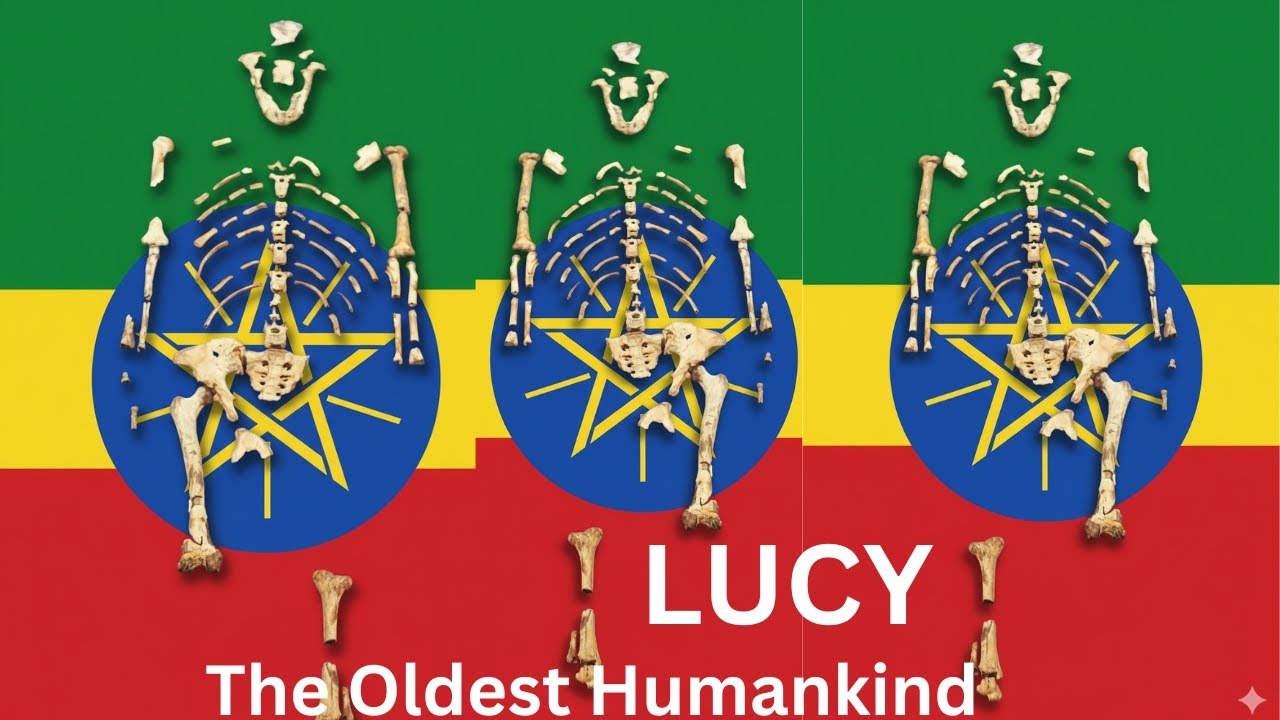 **Meet Lucy: The Oldest Human Ancestor Ever Discovered | Found in ...