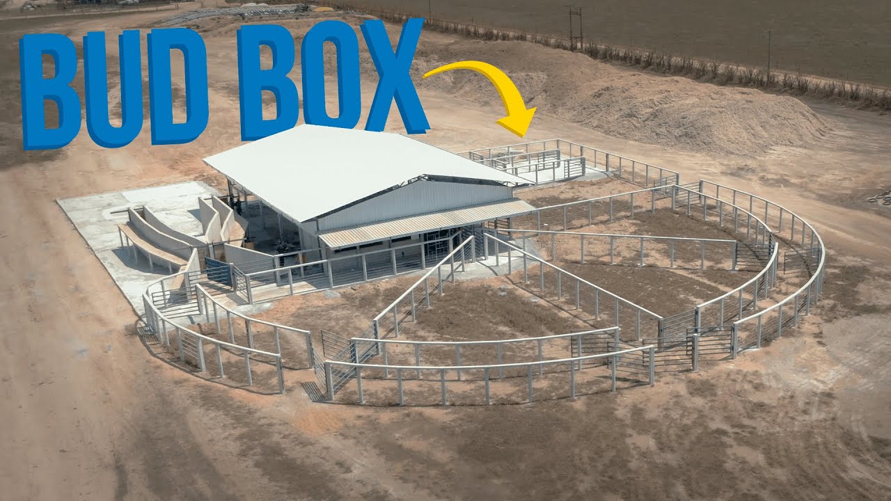 CURRAL BUD BOX - CURRAIS ITABIRA - YouTube