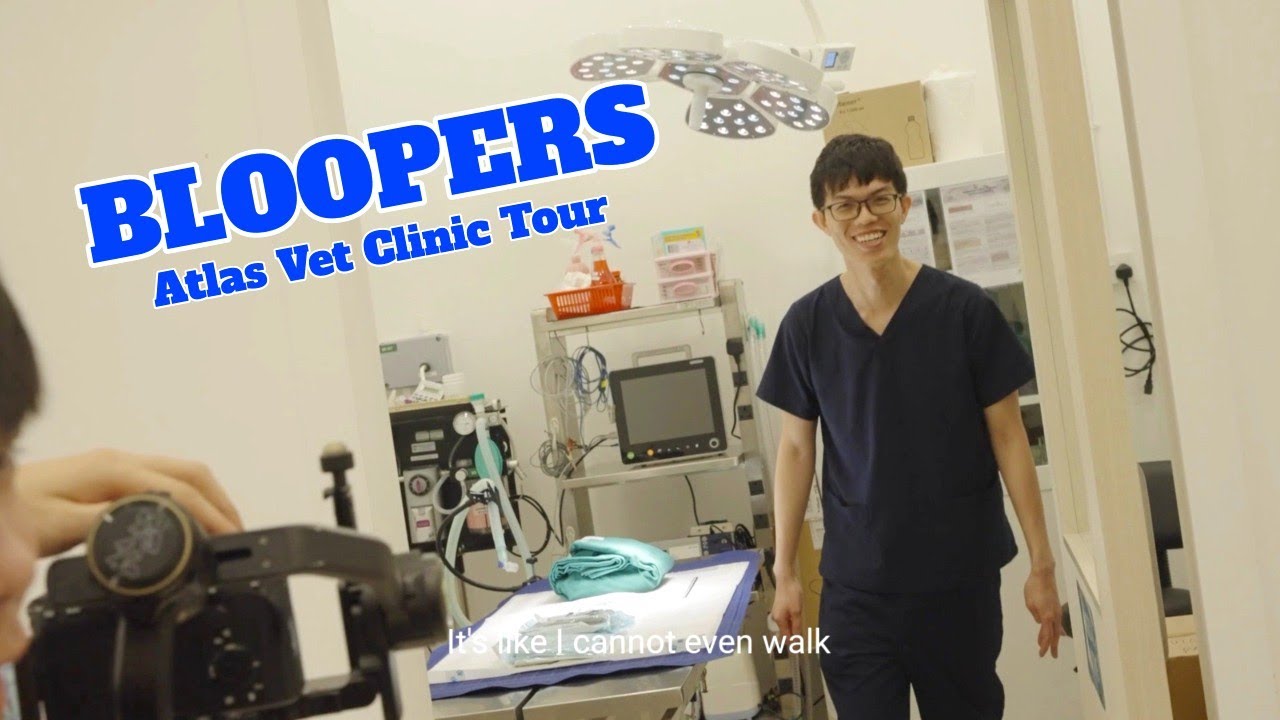 Bloopers - Virtual Clinic Tour (Atlas Vet Singapore with Dr Chow) - YouTube