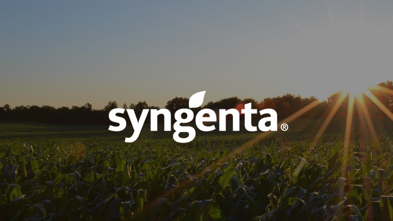 SYNGENTA - LANZAMIENTO ORONDIS ULTRA - YouTube