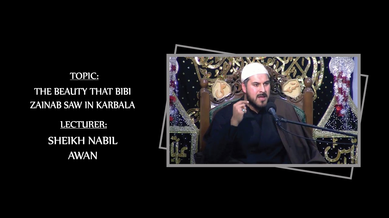 The beauty that Bibi Zainab saw in Karbala - Sheikh Nabil Awan - YouTube