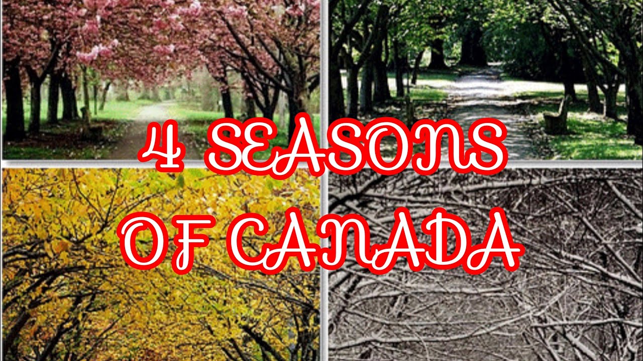 4 SEASONS OF CANADA (In Fragrance) **COLLAB* - YouTube