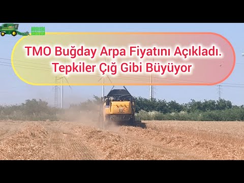 Buğday Fiyatları Açıklandı. Tepkiler Çığ Gibi!