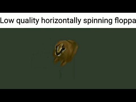 Low quality horizontally spinning floppa - YouTube