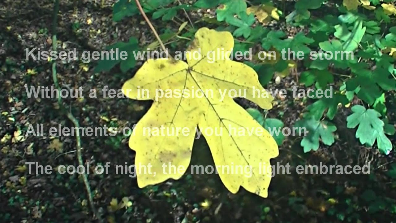 Autumn Leaf - Original Poetry (HD) - YouTube