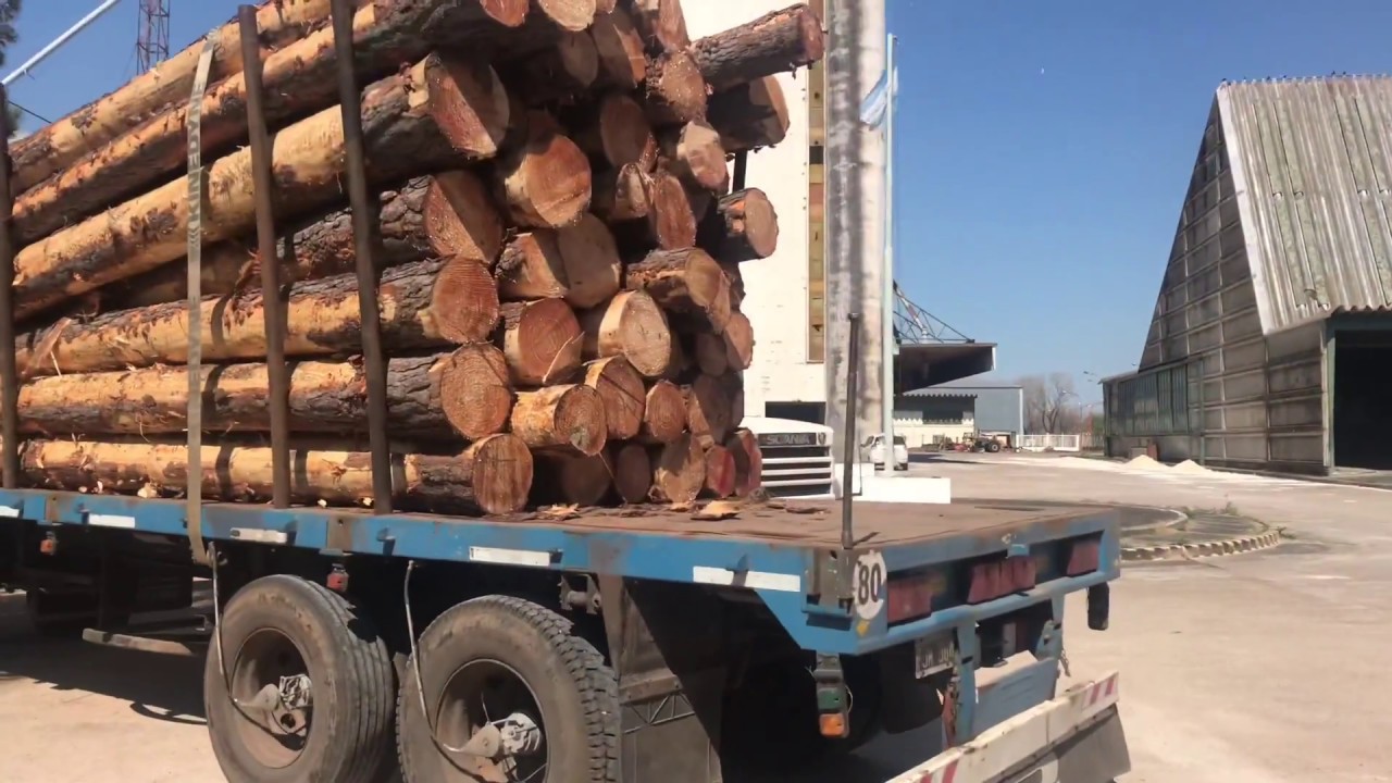 Acopio de madera - YouTube