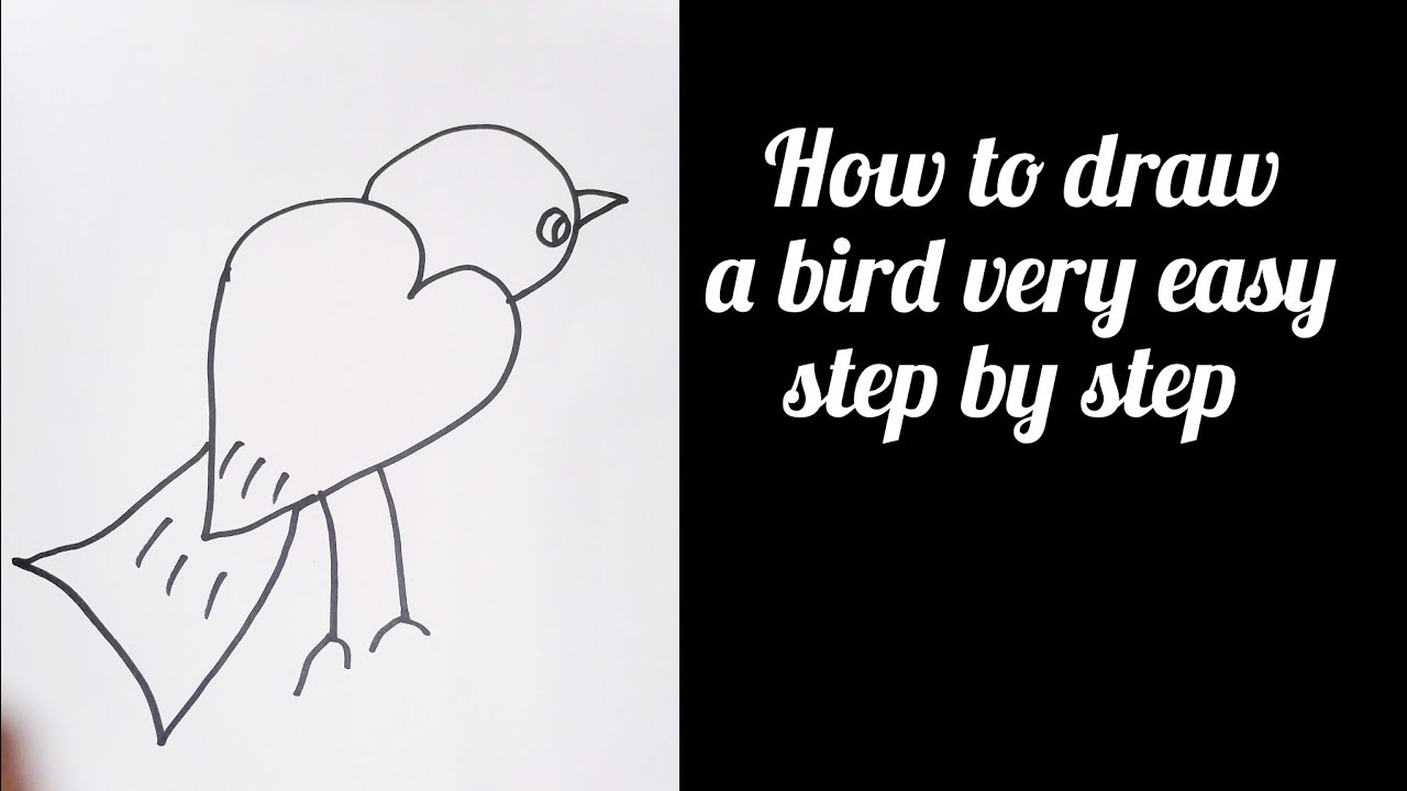 How to draw a bird very easy step by step - YouTube