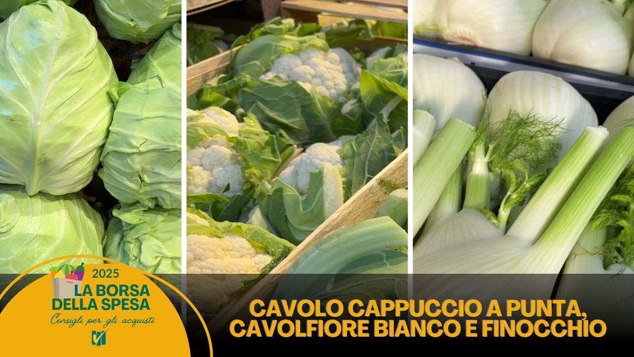 Borsa della spesa 27 10 2025: cavolo cappuccio a punta, cavolfiore ...