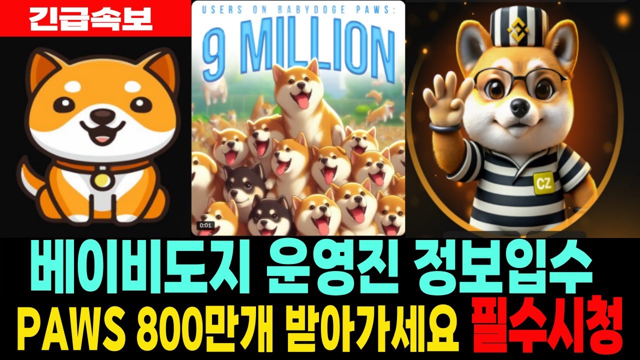 [베이비도지코인] BabyDoge 긴급속보! 운영진 정보입수 PAWS 800만개 받아가세요 필수시청 코미녀TV - YouTube