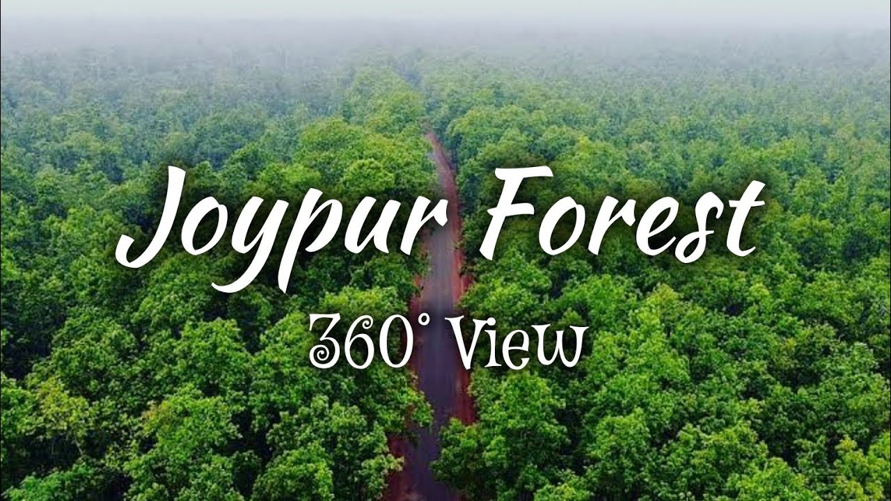 Joypur Forest || Bankura || Exploring Joypur Forest, 360° VIEW || SwasReet Vlogs - YouTube