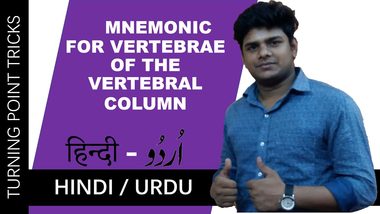 MNEMONIC/TRICK FOR VERTEBRAE OF SPINAL CORD - YouTube