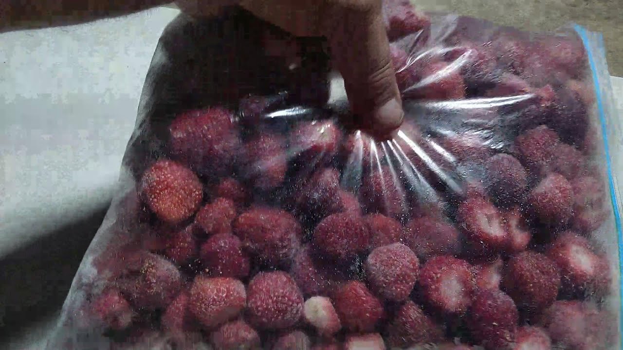 What Is Munching On The Strawberries - YouTube