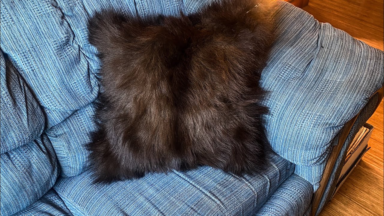 Making a bear skin throw pillow. - YouTube