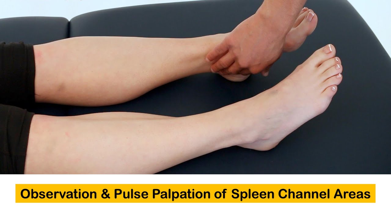 OBSERVATION AND PULSE PALPATION OF SPLEEN CHANNEL OF FOOT TAIYIN - YouTube