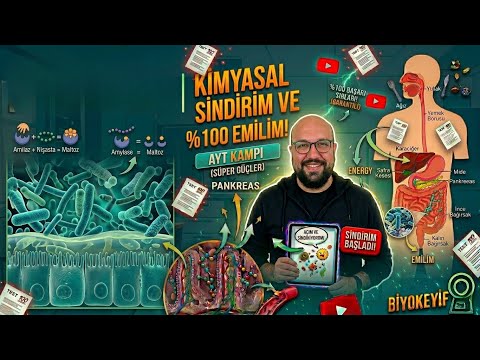 🧪 Sindirim Başka Emilim Başka! | AYT Biyoloji