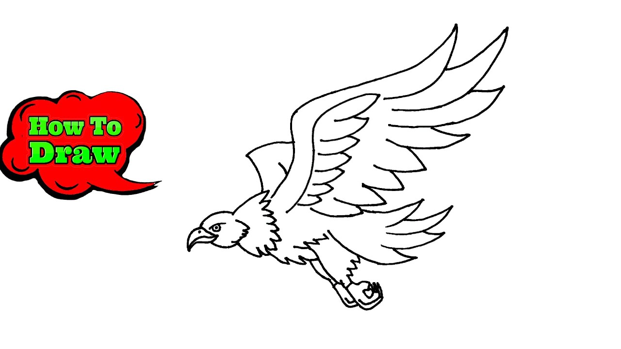 How To Draw A Eagle Easy Step By Step For Beginners - YouTube
