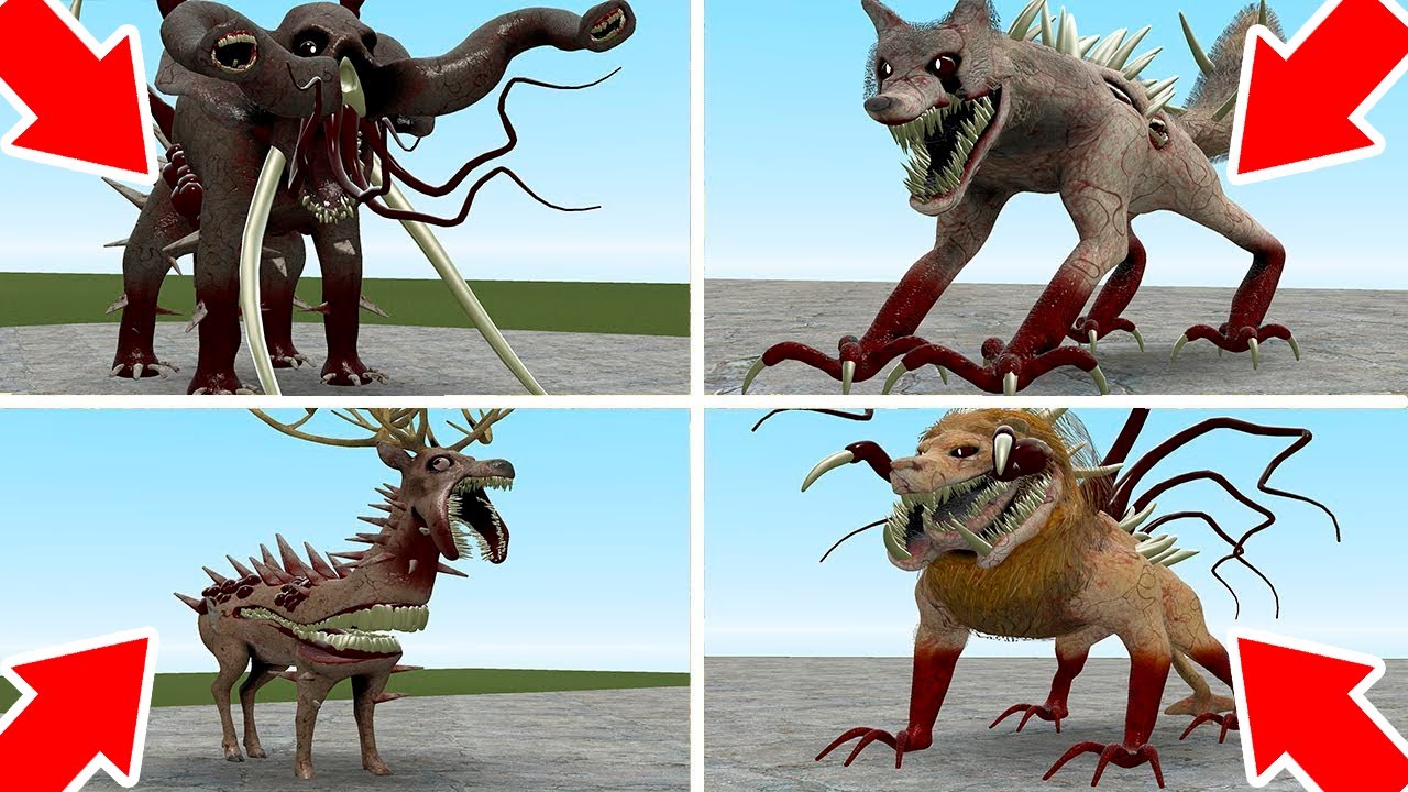 NEW ZOOCHOSIS MUTATED ANIMALS In Garry's Mod!#Garrys_Mod #zoonomaly # ...