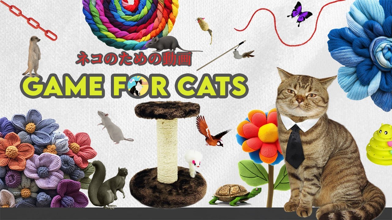 GAME FOR CATS | TV Game That Stimulates The Cat's Curiosity and ...