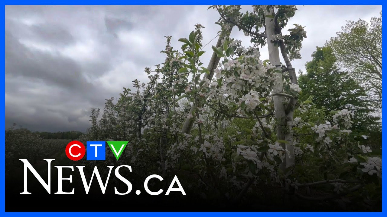 Another rainy weekend in the Maritimes - YouTube