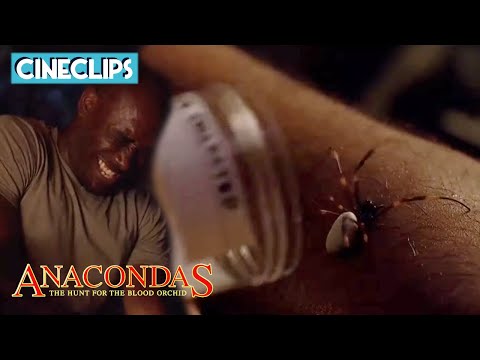 Jack Poisons Gordon With A Venomous Spider | Anacondas: The Hunt For The Blood Orchid | CineStream