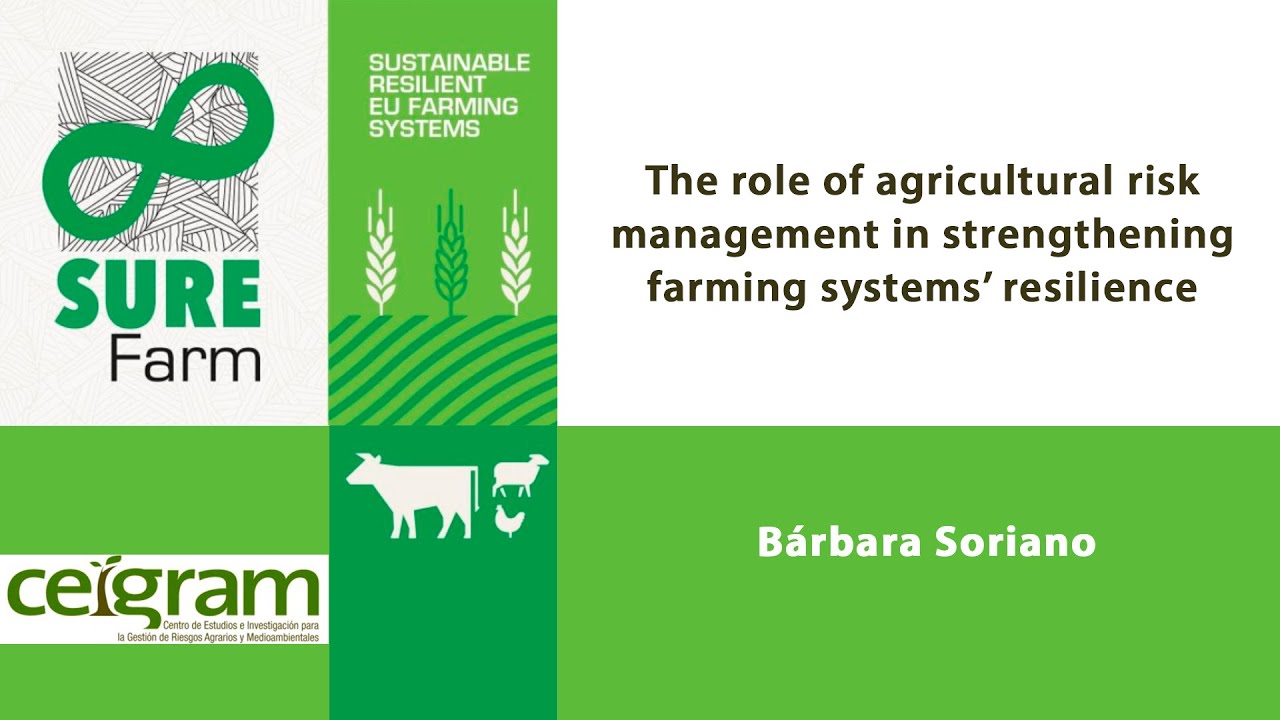 Surefarm. The role of agricultural risk management in strengthening ...
