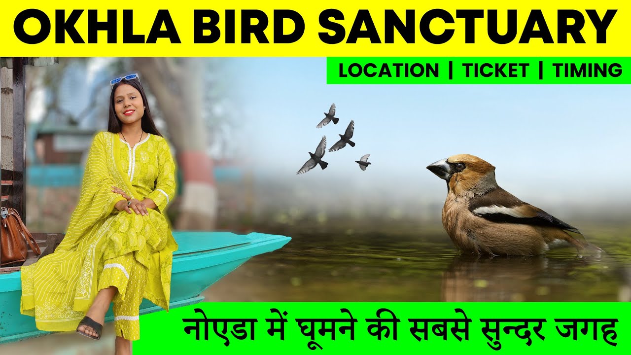 Okhla Bird Sanctuary in Noida/Delhi | Best for Couples | With Complete ...