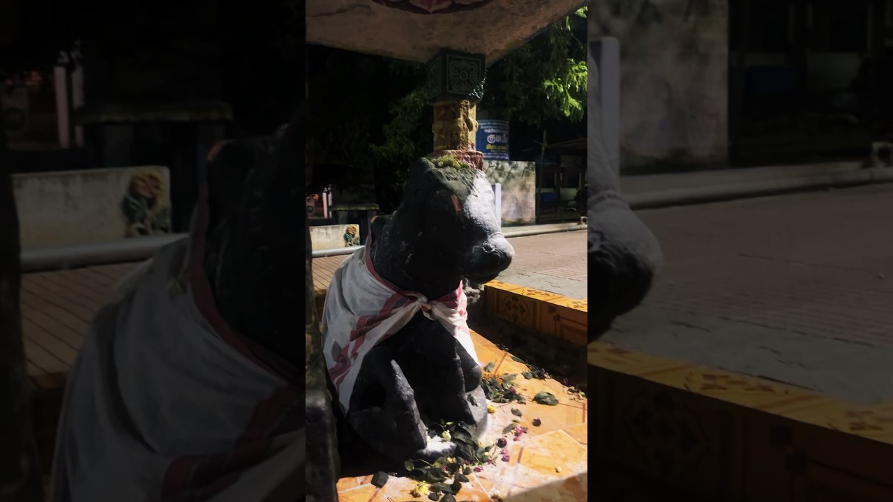 Tiruvannamalai girivalam pathai - YouTube