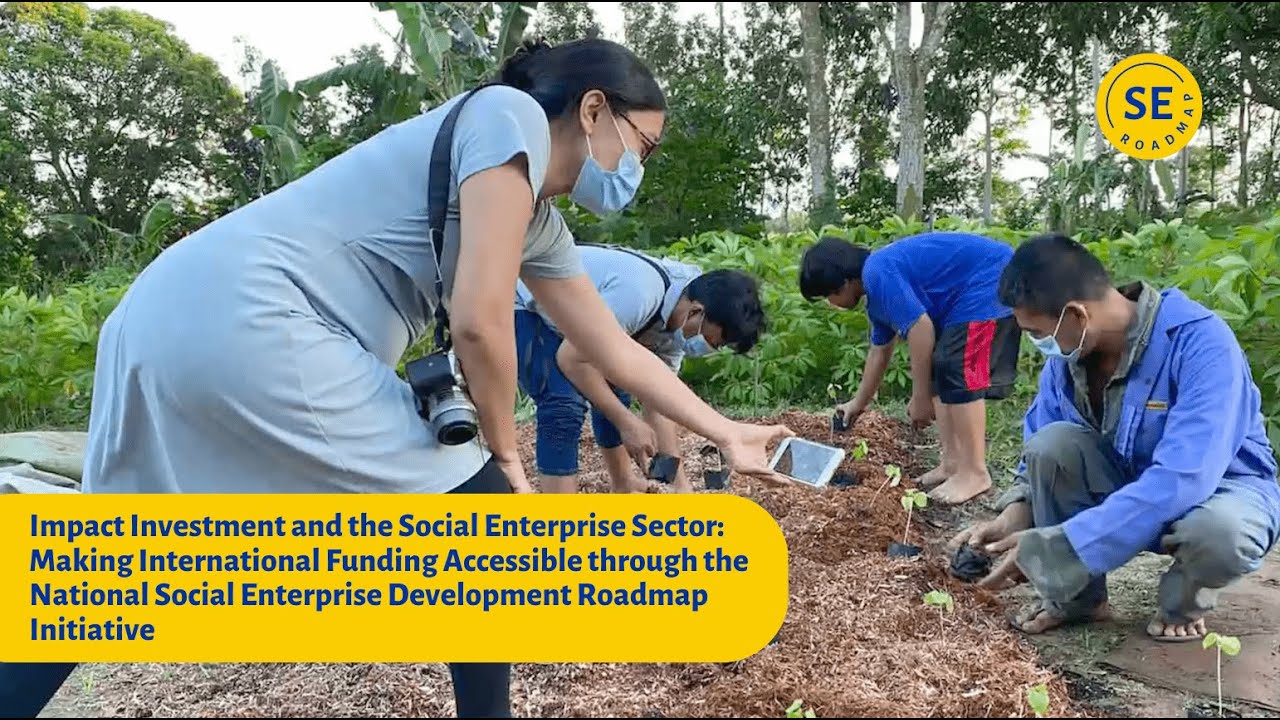 Impact Investment and the Social Enterprise Sector - YouTube