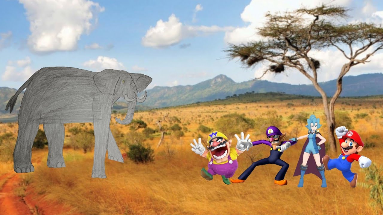 Wario, Waluigi, Clair & Mario Dies By Enraged African Bush Elephant ...