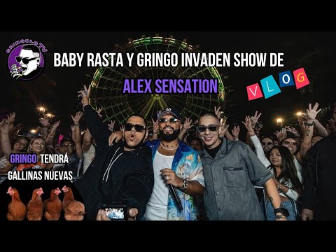 BABY RASTA Y GRINGO INVADEN SHOW DE ALEX SENSATION!! (GRINGO SE HACE ...