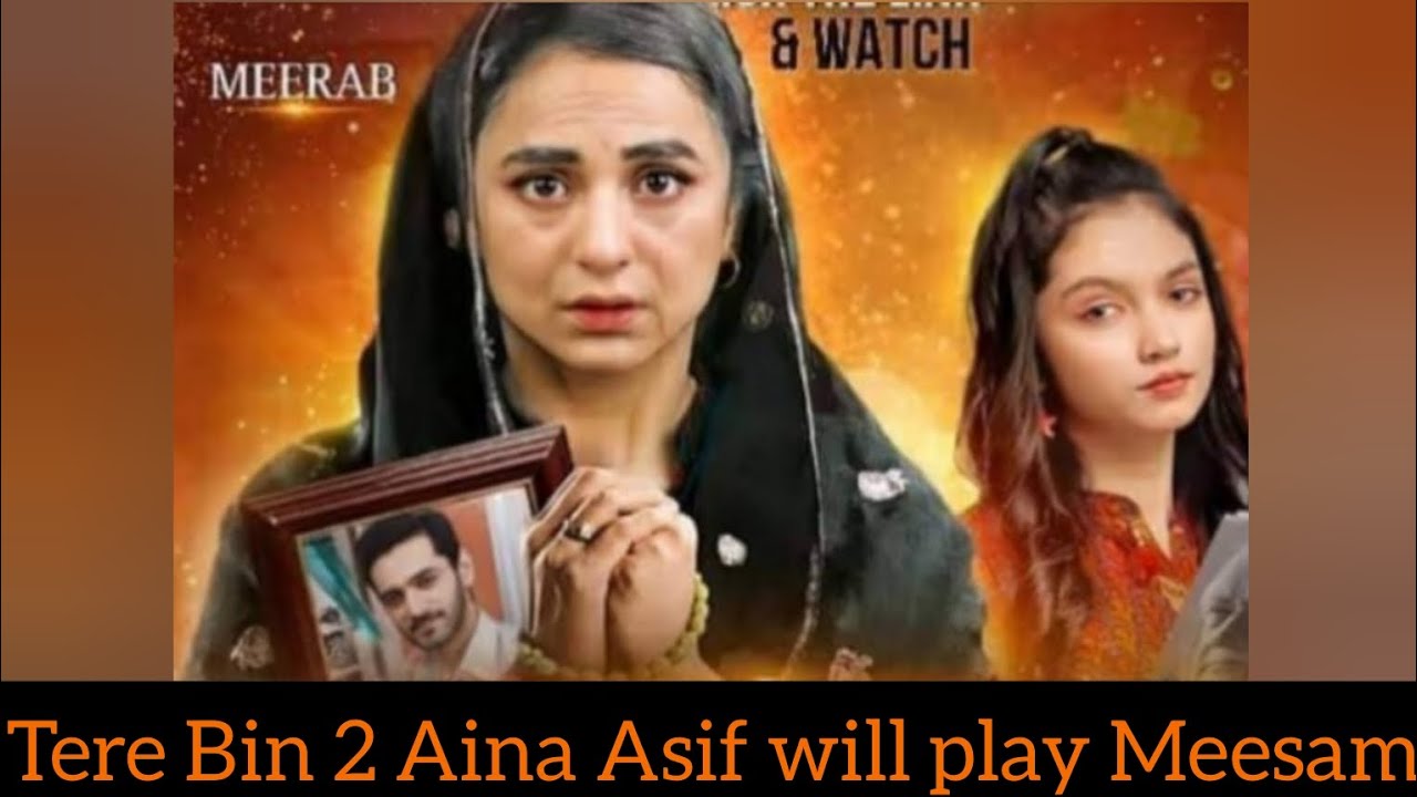 Aina Asif will play role of Meerab and Murtasim daughter Meesam in Tere ...