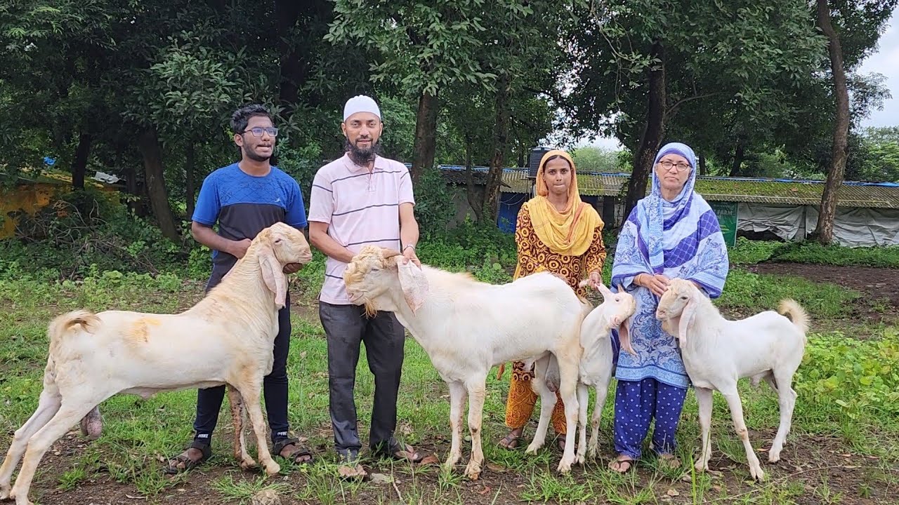 Maa Ka Sapna Hua Pura | Banaya Shandaar Farm | Al Shifa Goat Farm ...