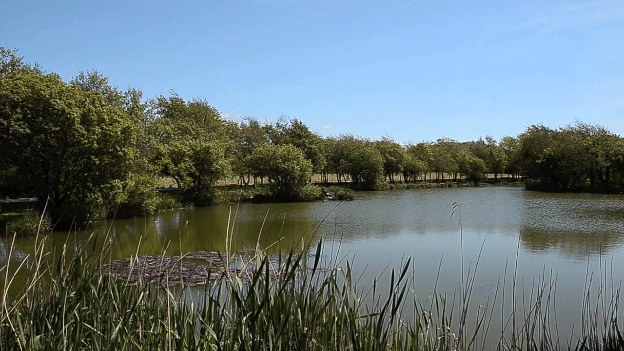 GWINEAR POOLS, CUBERT, NEWQUAY, CORNWALL - YouTube