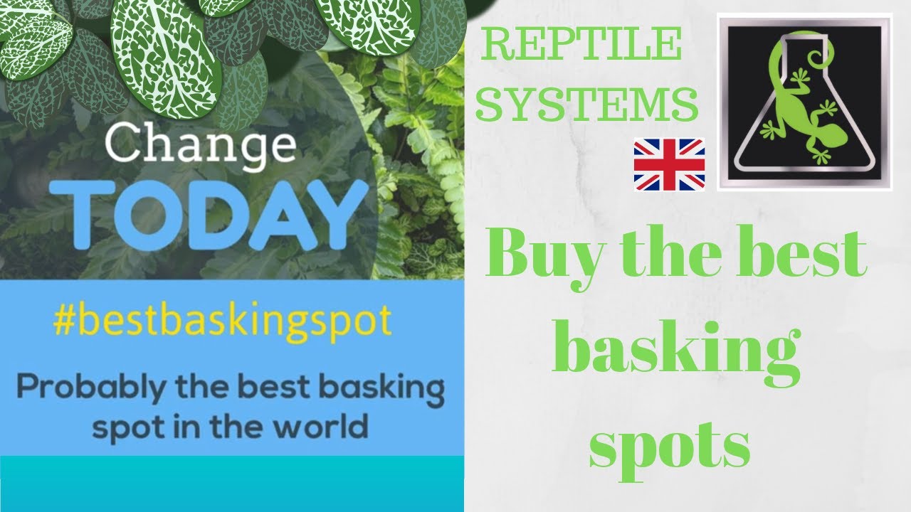 Reptile Systems. Best Basking Spot - YouTube