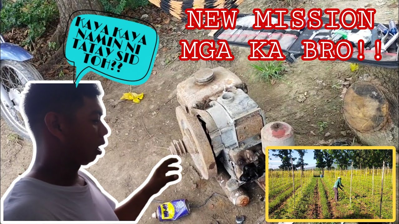 Focus Muna Tayo Sa Ampalaya [tatay Sid Vlog] Youtube