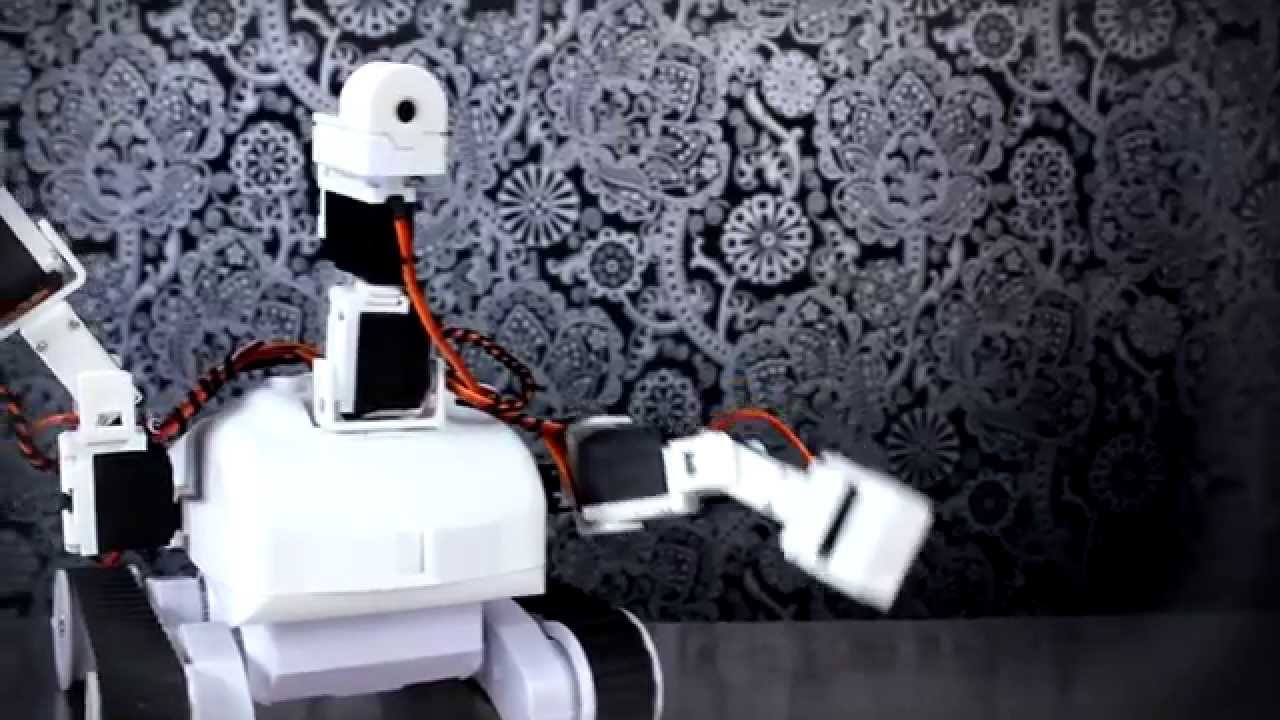 Roli Rover Robot - YouTube
