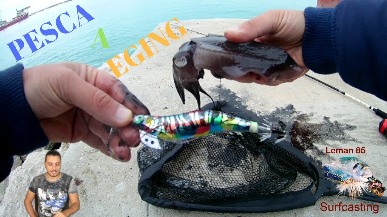 "PESCA A EGING" Alla SEPPIA:Catture , Attrezzatura e Considerazioni ...