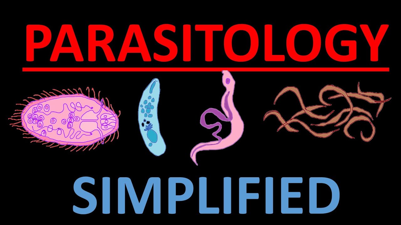 Introduction to parasitology | Classification - YouTube