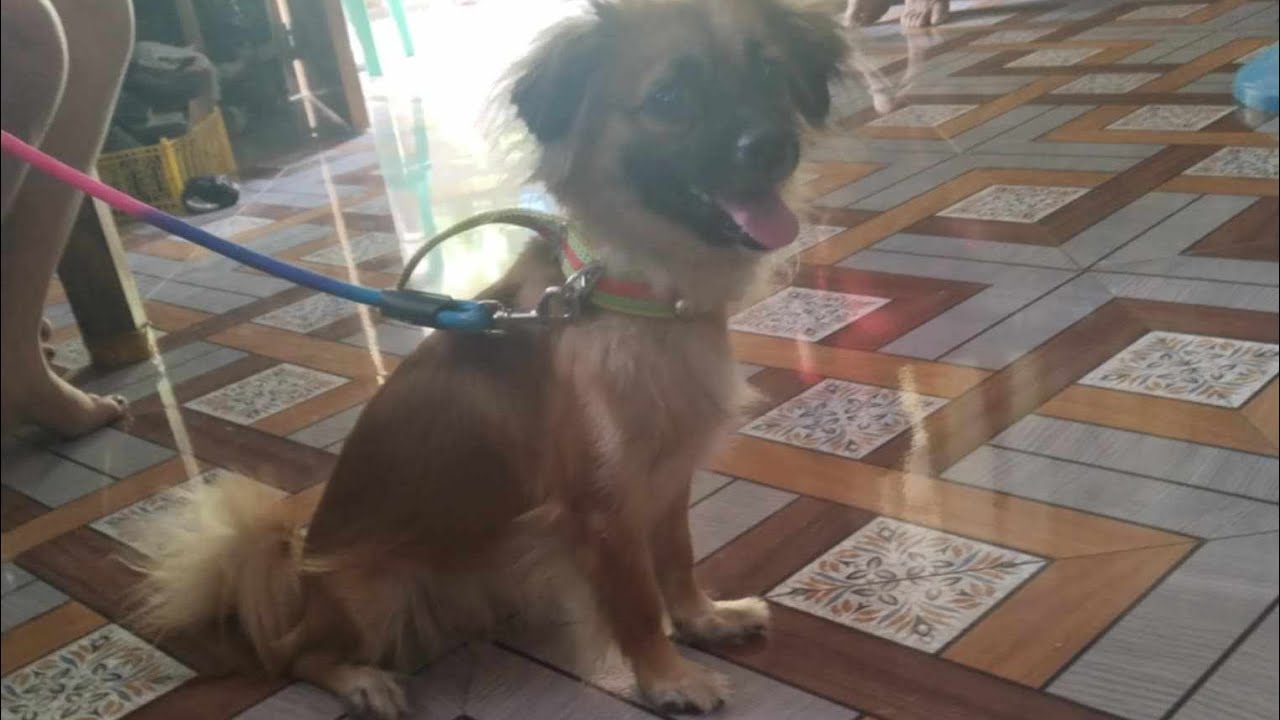 Monday Layb || meniervz Day - YouTube