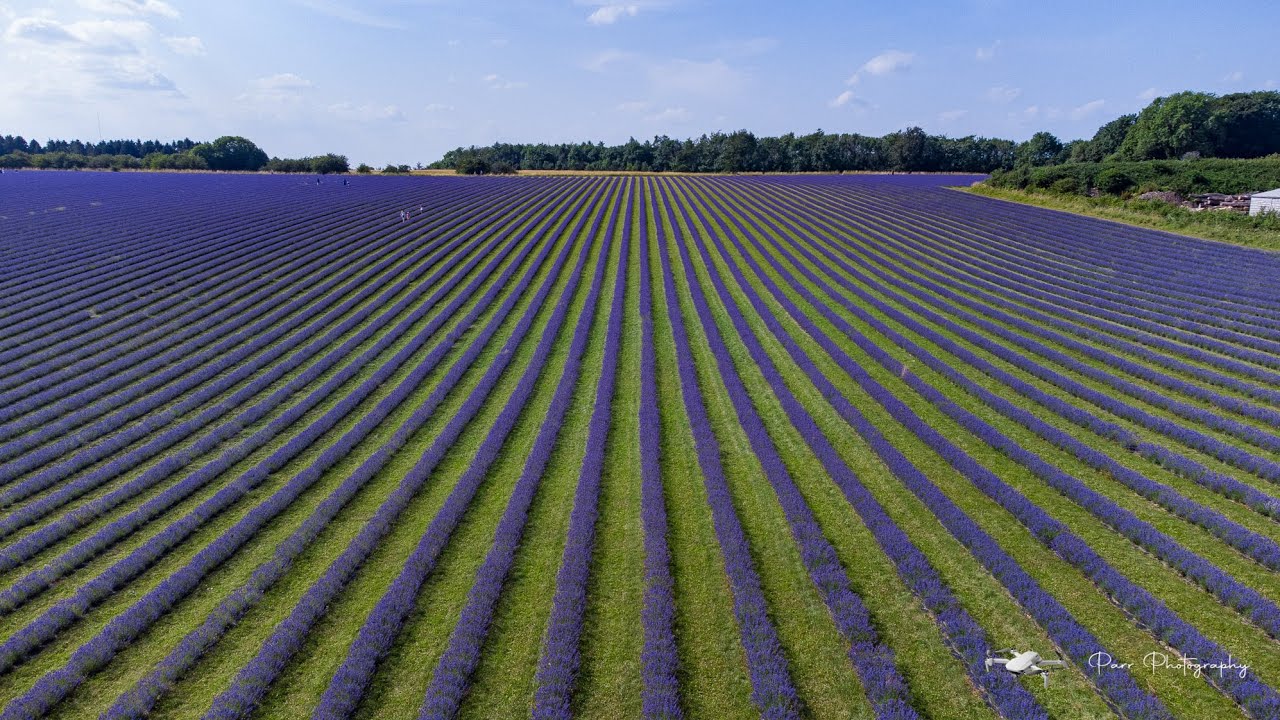 4k Drone footage - Lavender Field Farm, Snowshill, Cotswolds on DJI ...