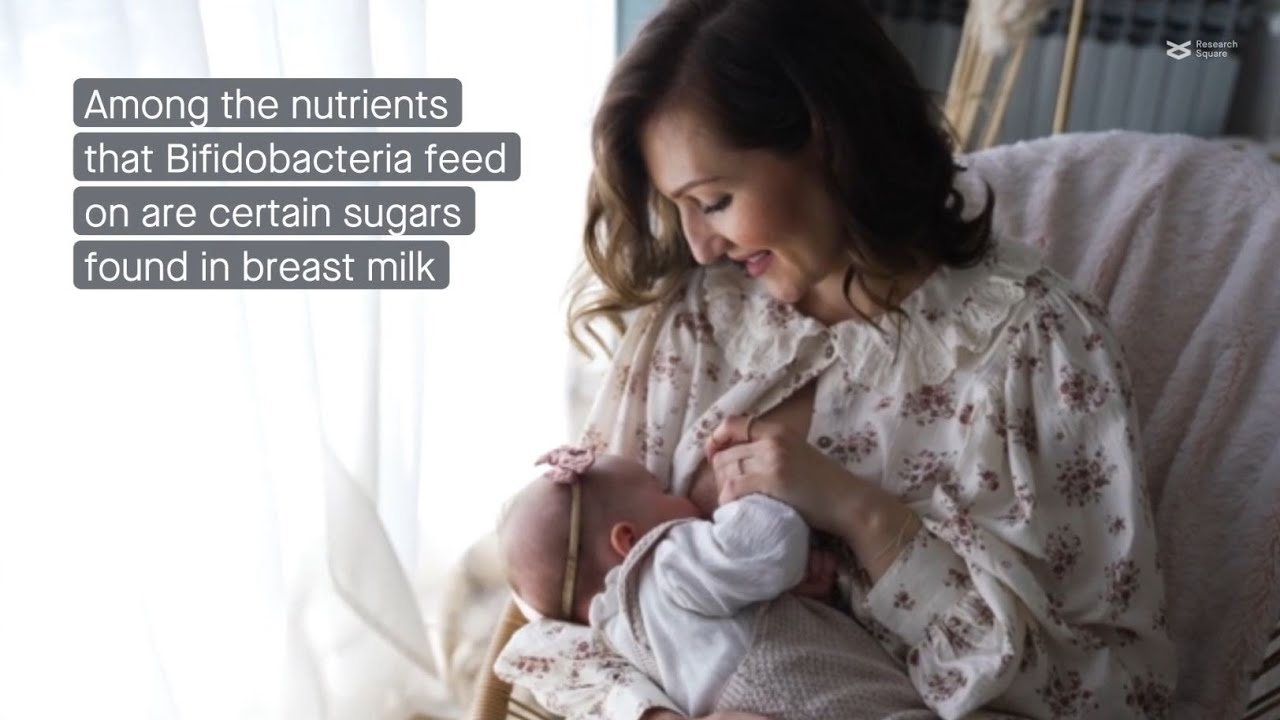 How milk sugars influence gut bacteria and health - YouTube