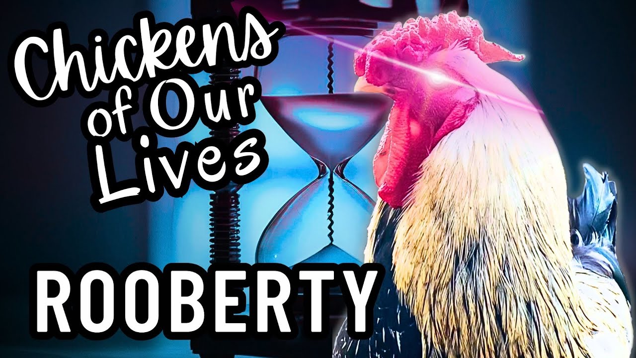 Conquering Rooberty: Managing Aggressive Adolescent Roosters - YouTube