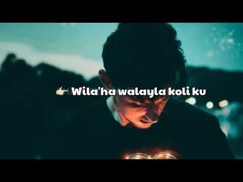 Tamali habibi WhatsApp studas