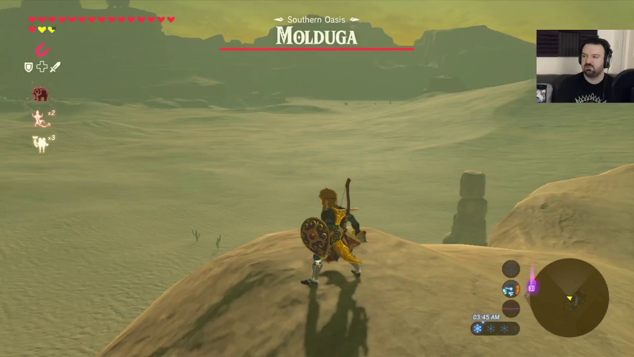 The Legend of Zelda: Breath of the Wild playthrough pt141 - Molduga ...